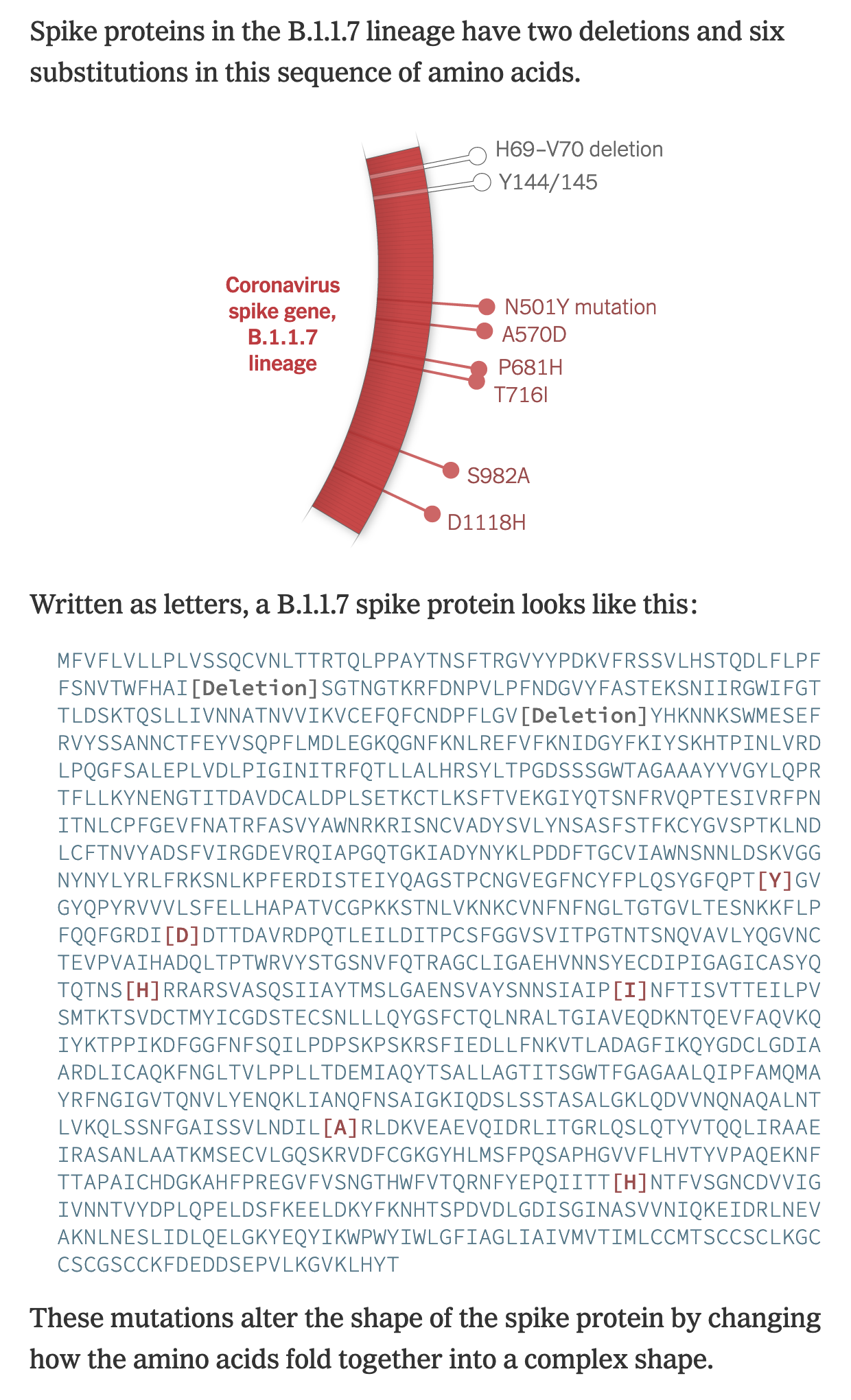 Viral Mutations – Coffee Spoons